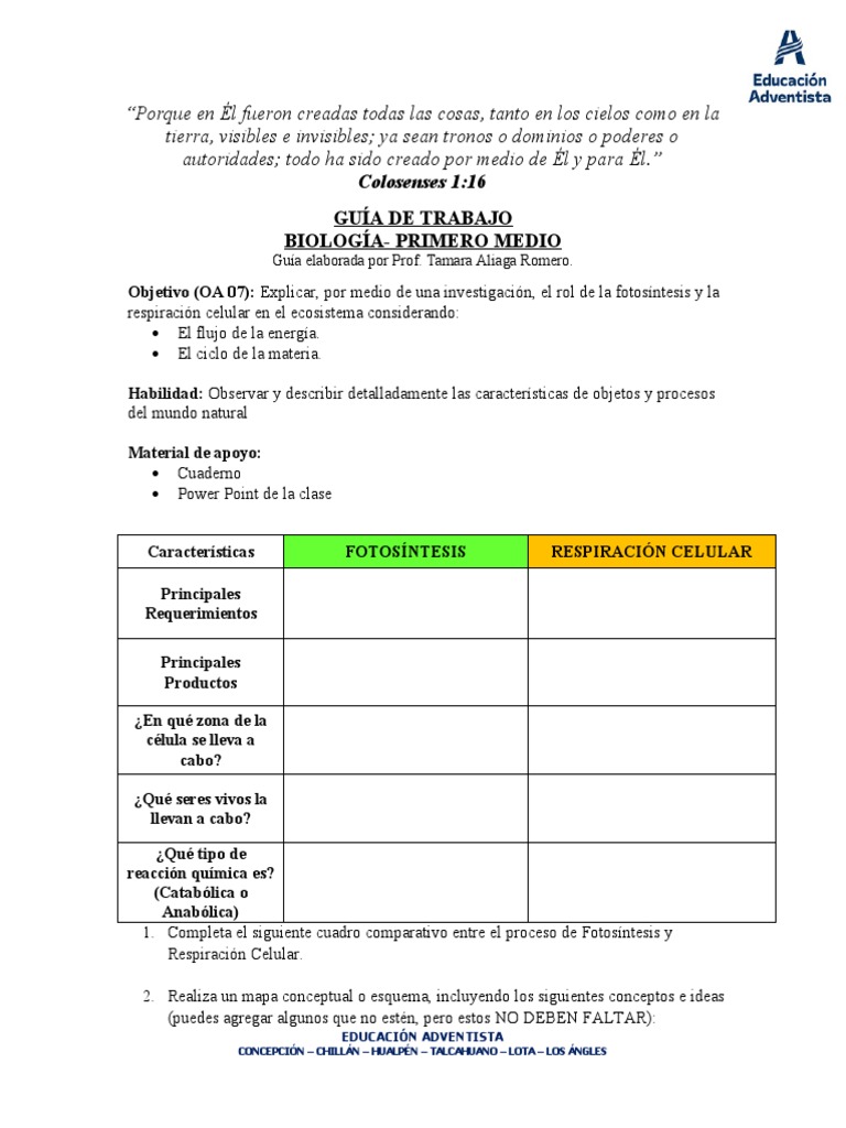 Guia de Trabajo Sobre Respiración Celular | PDF