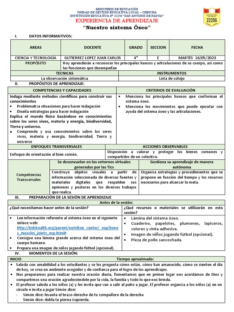 SESIÓN Cy T - El Sistema Óseo Martes 16-05 | PDF | Aprendizaje | Hueso