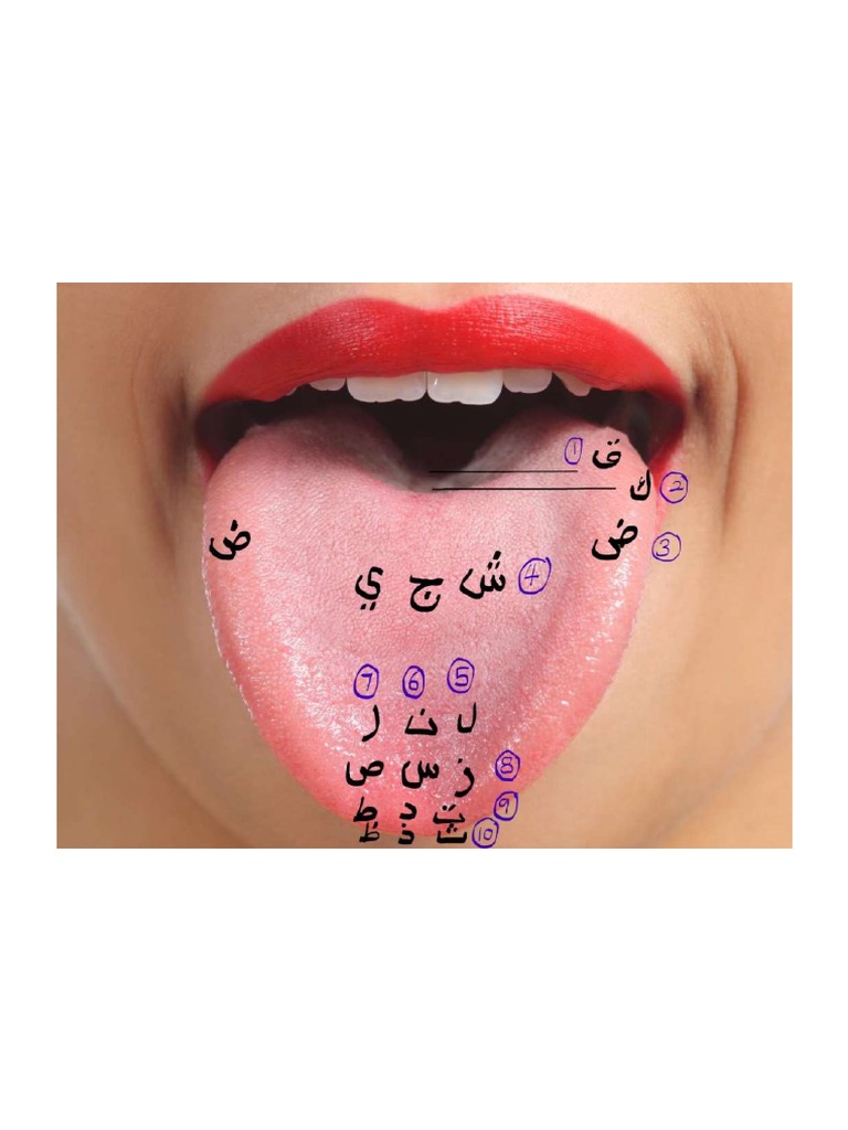 Makhraj of Tongue | PDF