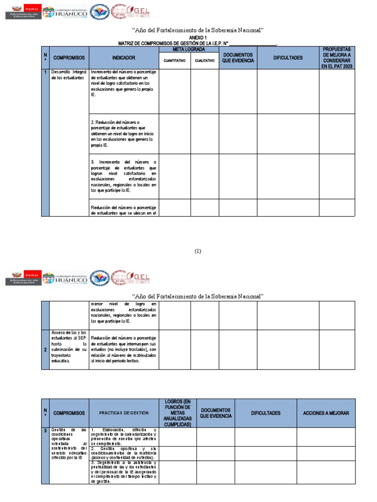 Informe de Gestión Anual 2022 | PDF