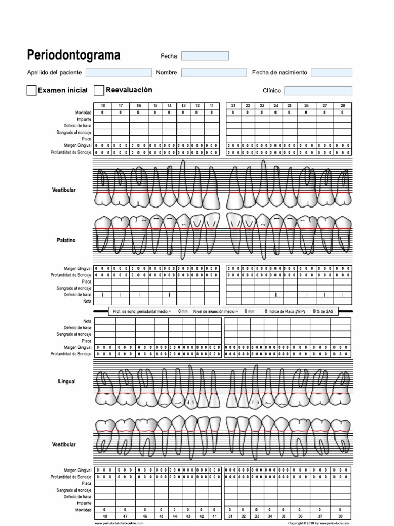 Periodontal Chart online - www.perio-tools.com | PDF