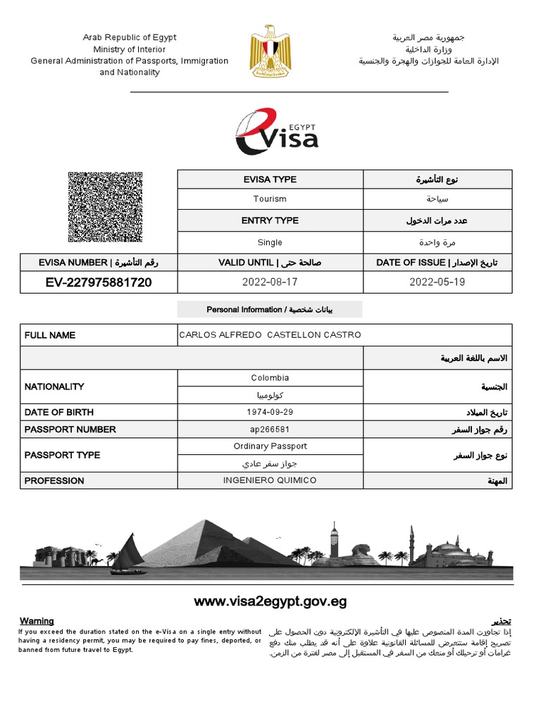 Egypt Evisa Form | PDF | Passport | National Security