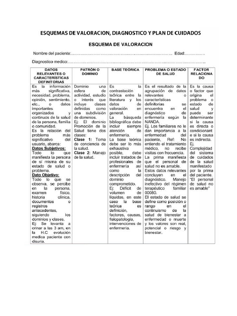 Modelo PAE Criterios | PDF