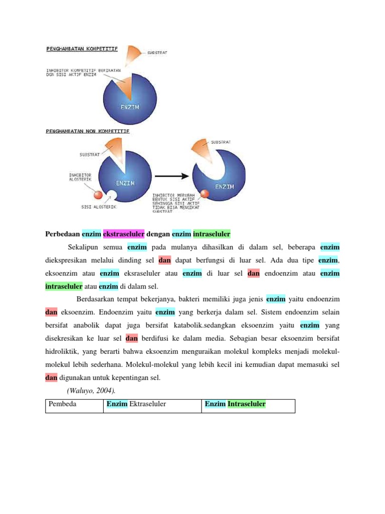 Perbedaan Enzim Ekstraseluler Dengan Enzim Intraseluler | PDF