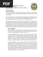 Tipos y características de las hojas | PDF | Hoja | Plantas