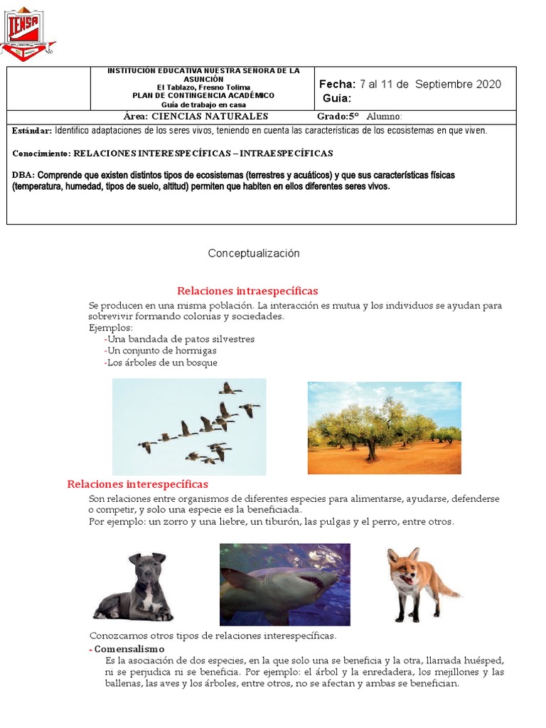 GRADO 5° CIENCIAS | PDF | Evaluación