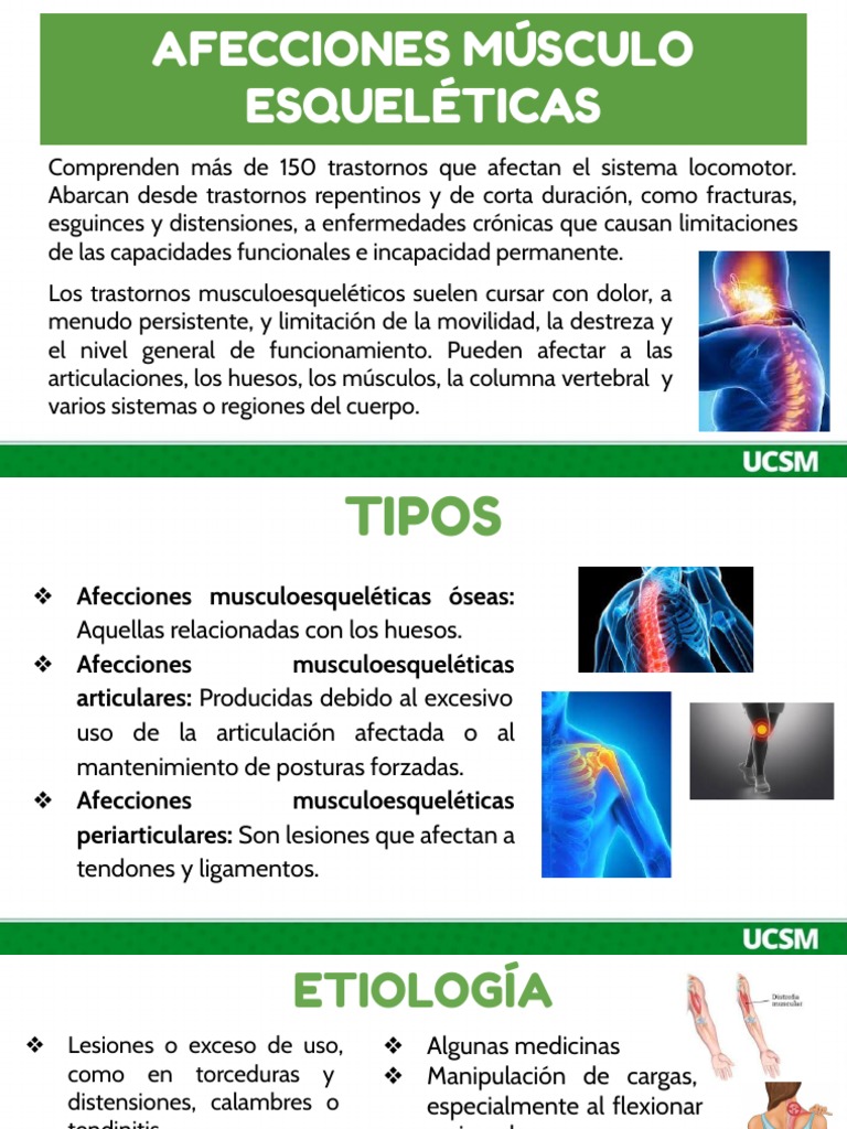 Afecciones Músculo Esqueléticas y Fracturas-4-6 | PDF