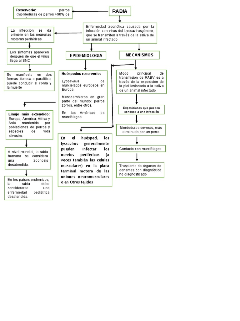 Mapa Micro | PDF | Ciencia y matemáticas