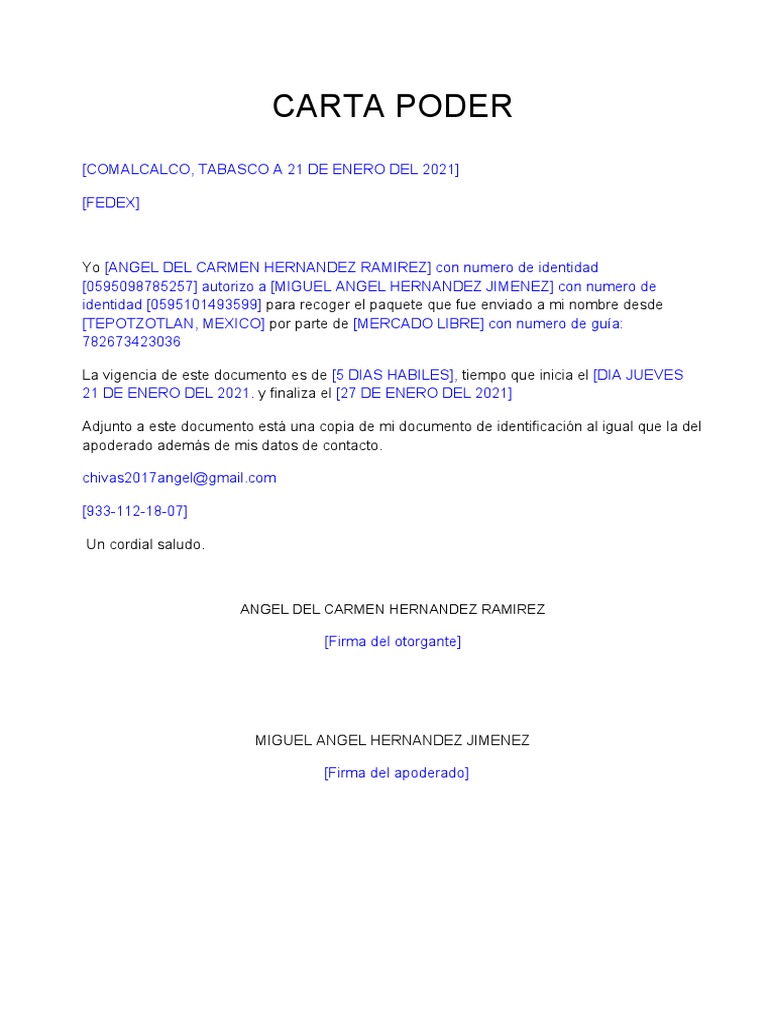 Carta Poder Simple | PDF