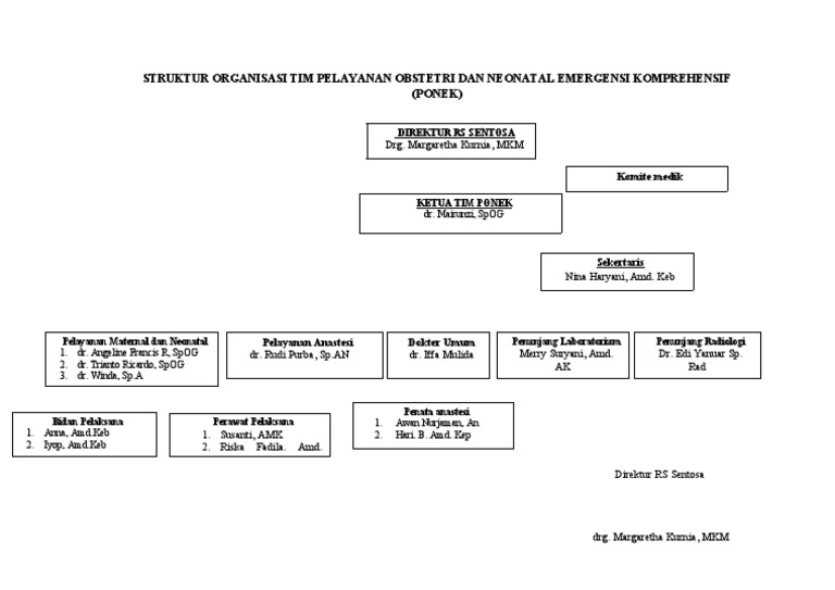 struktur Tim PONEK 2023 | PDF