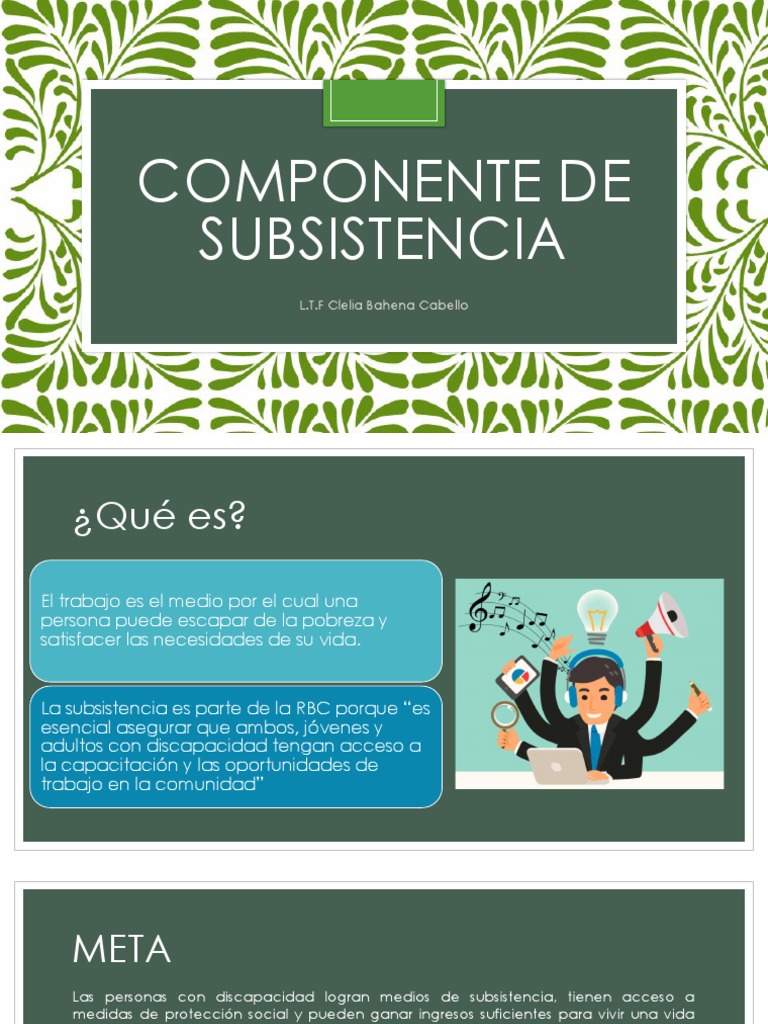 Componente de Subsistencia | PDF
