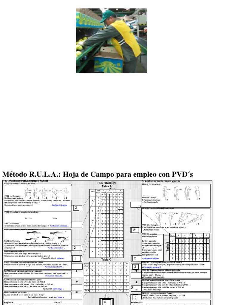 Rula Hoja De Campo 1 Pdf