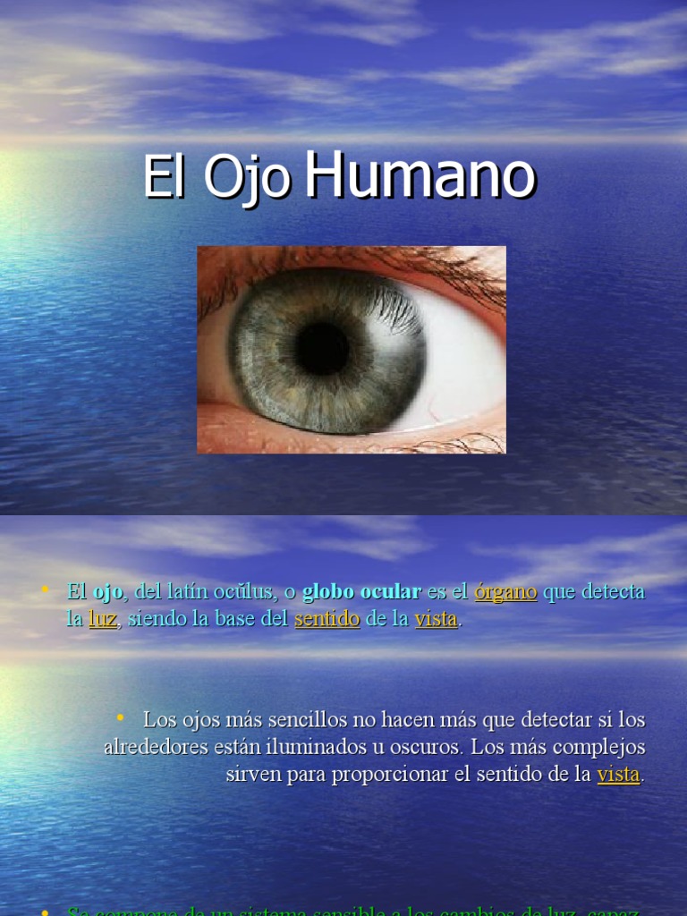 El Ojo Humano | Descargar gratis PDF | Ojo humano | Oftalmología