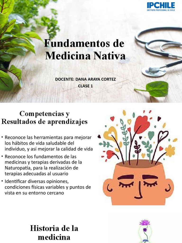 Clase 1 Medicina Nativa IPChile | PDF