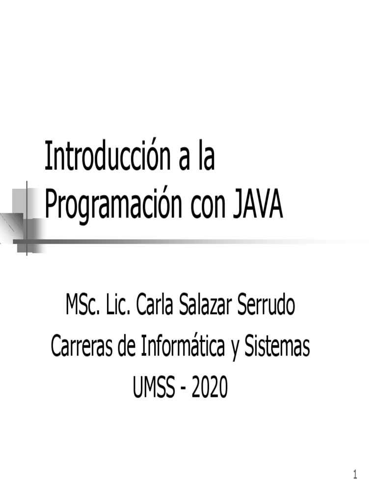 Introducción Programación | PDF | Java (lenguaje de programación) | Objeto (informática)