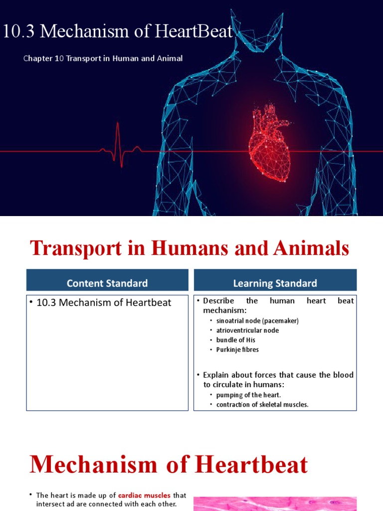 Heartbeat Mechanism Explained | PDF