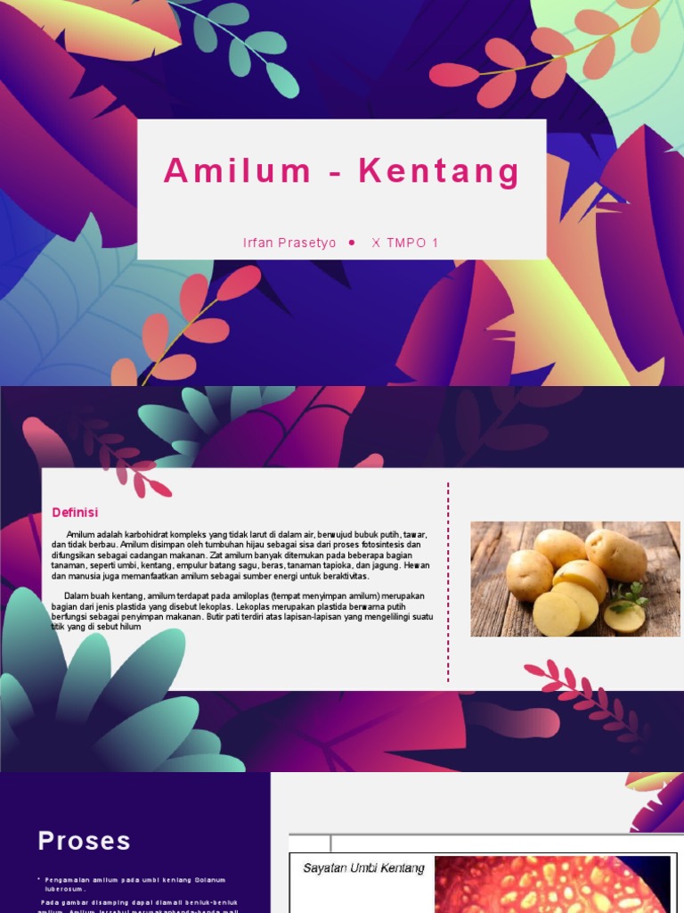 Amilum | PDF