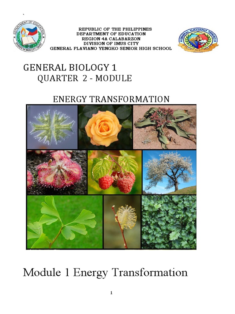 GEN-BIO-1-SECOND-QTR-MODULE-REVISED | PDF | Cellular Respiration ...