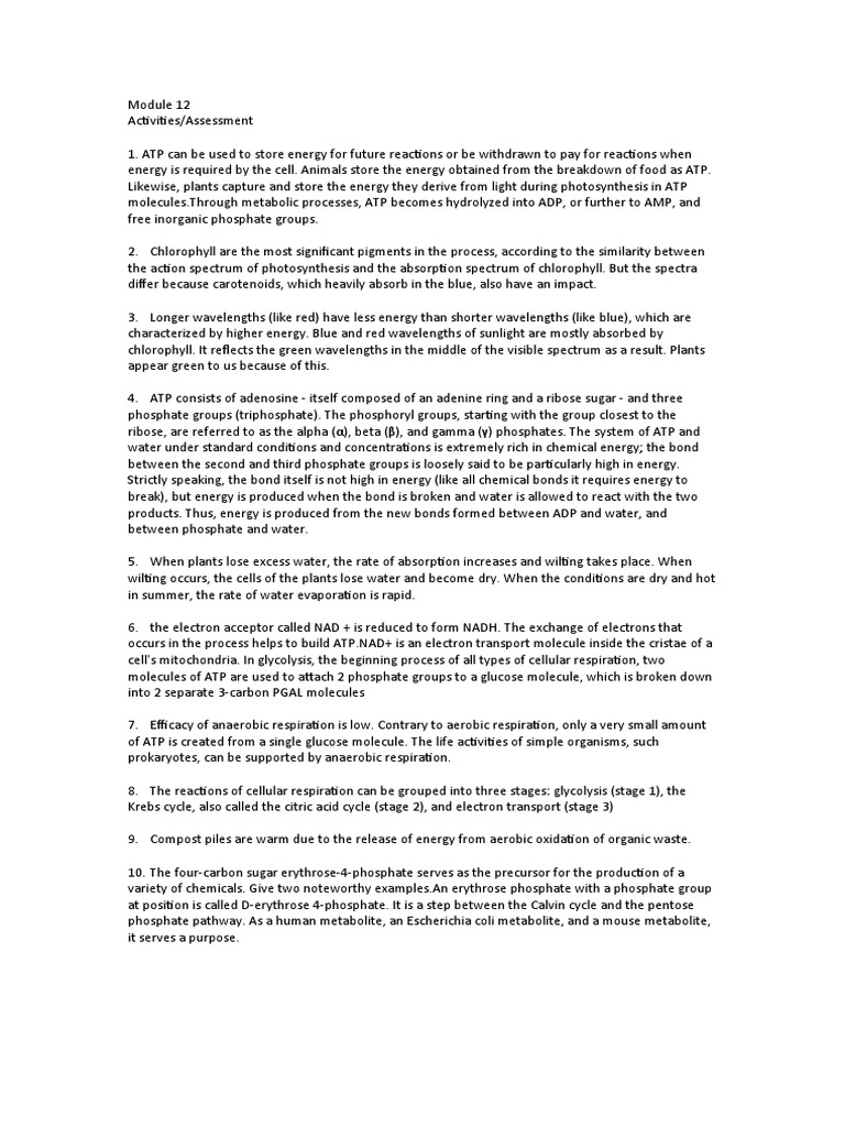 Botany Worksheet | PDF