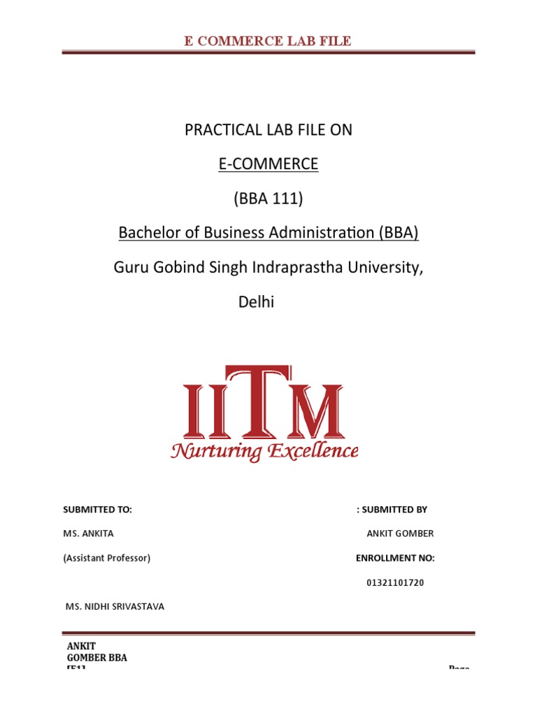 E-Commerce Lab File | PDF | World Wide Web | Internet & Web