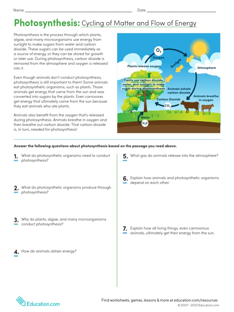 Photosynthesis Cycling of Matter and Flow of Energy | PDF ...