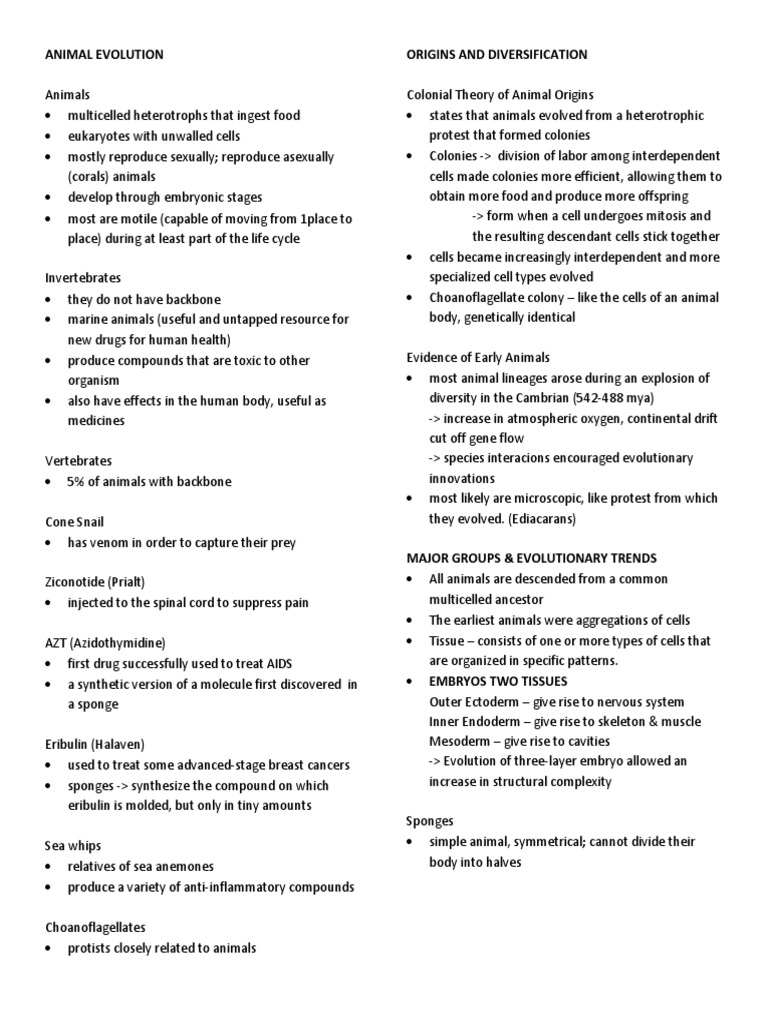 Animal Evolution | PDF | Mammals | Mollusca