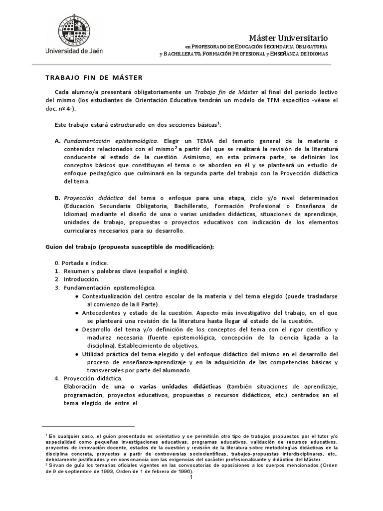 03.guion TFM | PDF | Enseñando | Maestros
