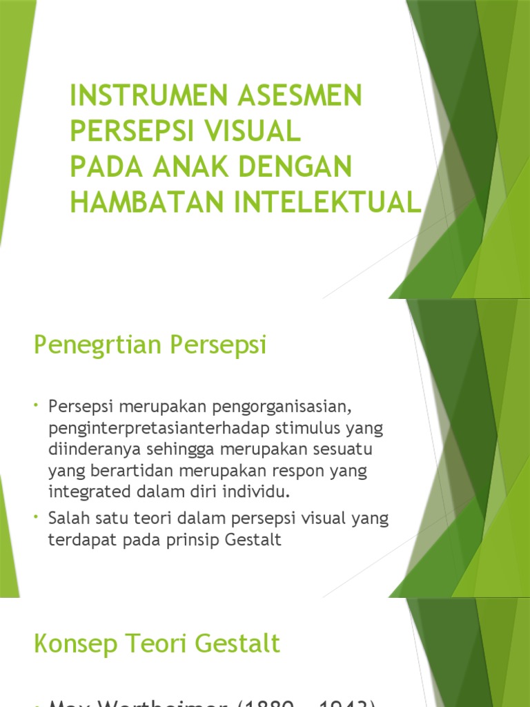 Instrumen Asesmen Persepsi Visual | PDF