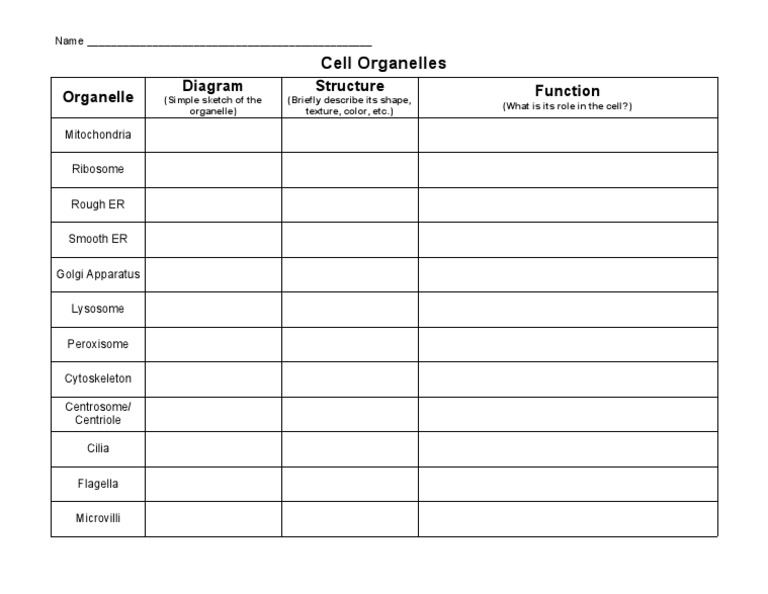 Cell Organelles Chart A&p | PDF