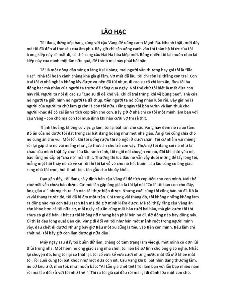Lão H C | PDF