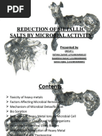2020 Bece Integrated Science Theory Solution | PDF | Crop Rotation | Soil