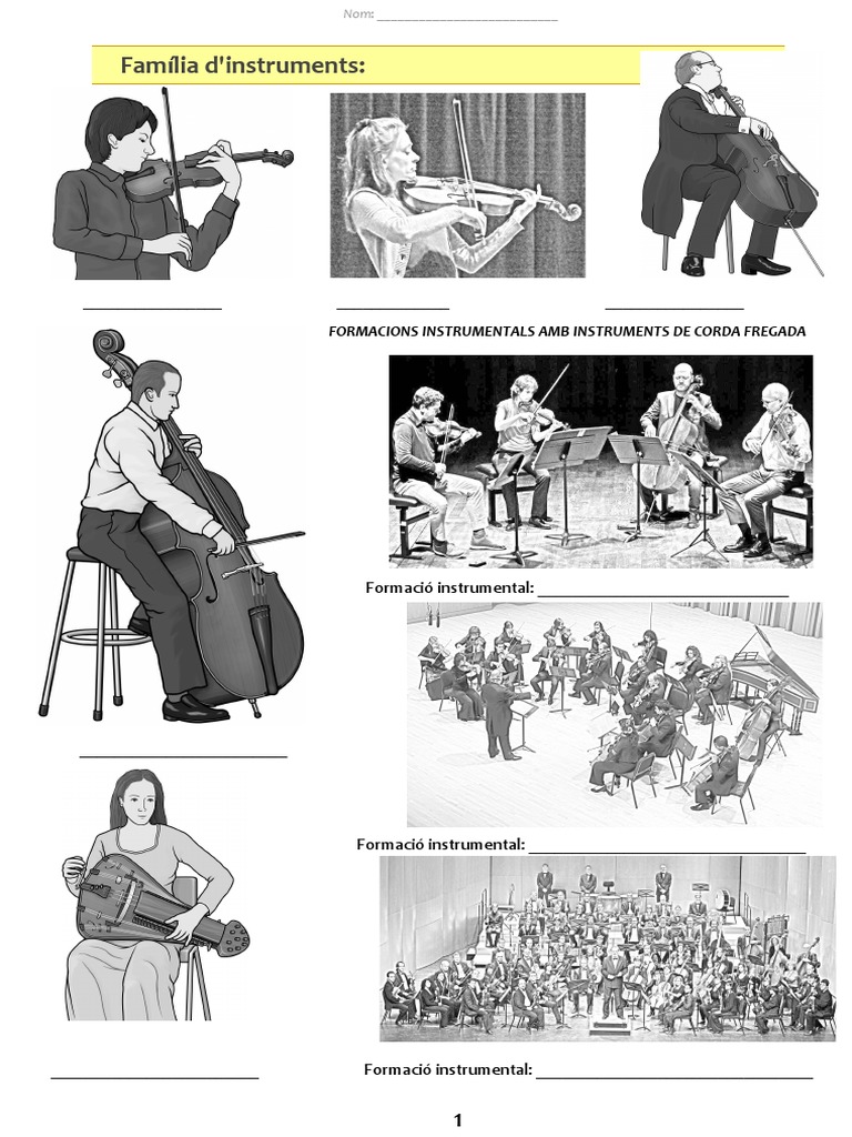 Fitxes Imatges Instruments Cordòfons 1r ESO MÚSICA | PDF