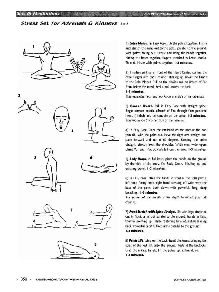 Stress - Set - For - Adrenals - and - Kidneys | PDF