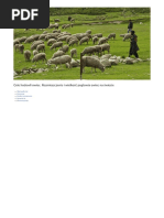 Rol11 2023 Styczen Egzamin Zawodowy Praktyczny | PDF