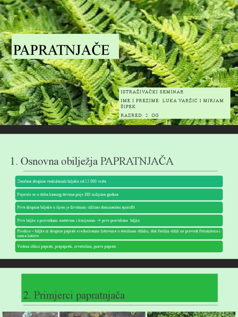 Paprati - R | PDF
