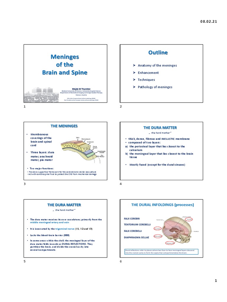 91637-Meninges Brain and Spain - Majda Thurnher | PDF | Clinical ...