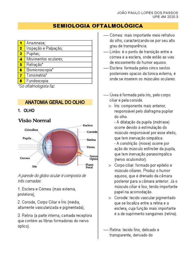 Semiologia Oftalmológica | PDF | Olho humano | Sistema visual
