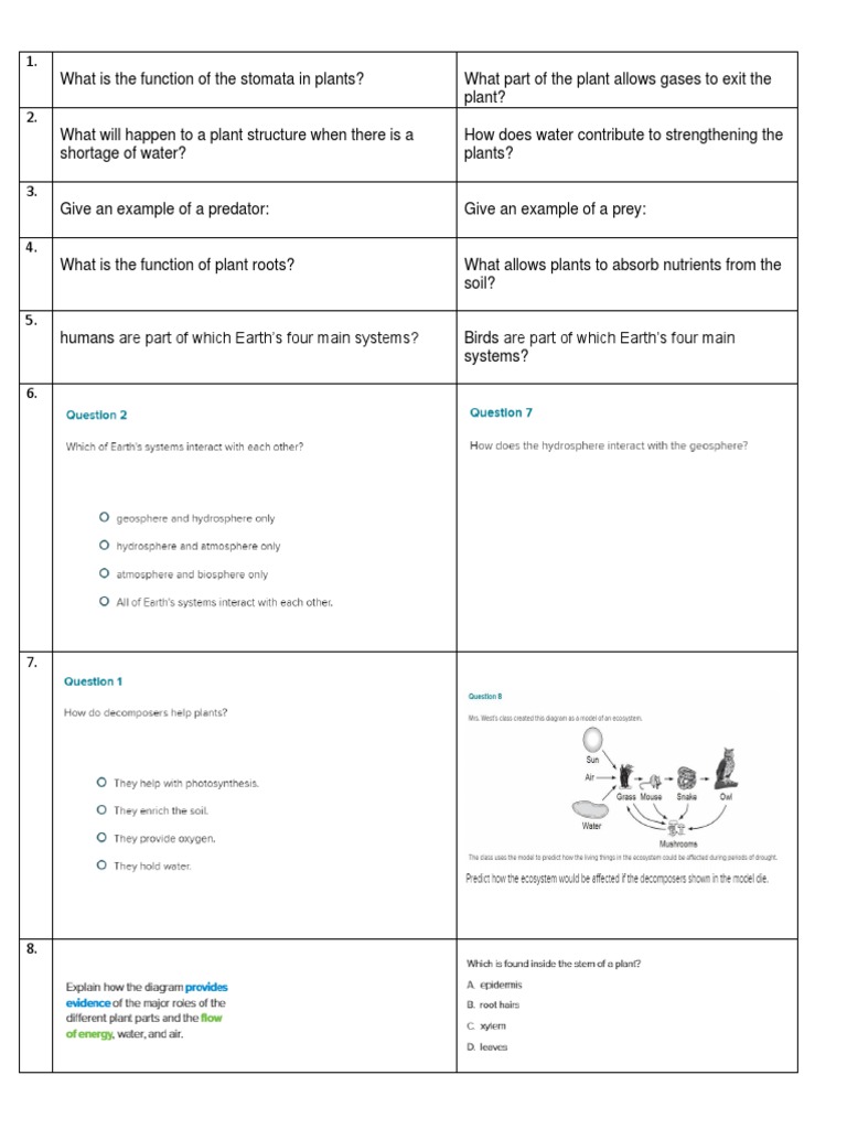 EoT3 G5 Elt Science Inspire Example | PDF