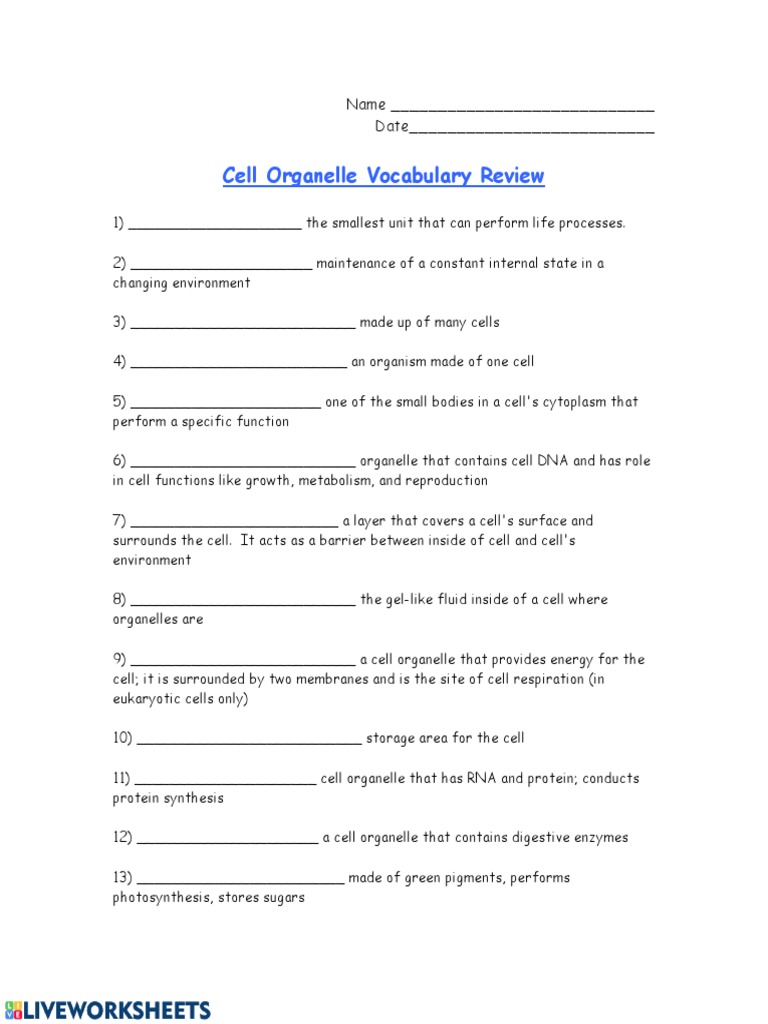 Cell Organelle Vocabulary Review Quiz | PDF | Wellness | Science ...