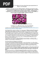 Plan Maroc Vert : Enjeux et Perspectives | PDF | Maroc | Agriculture