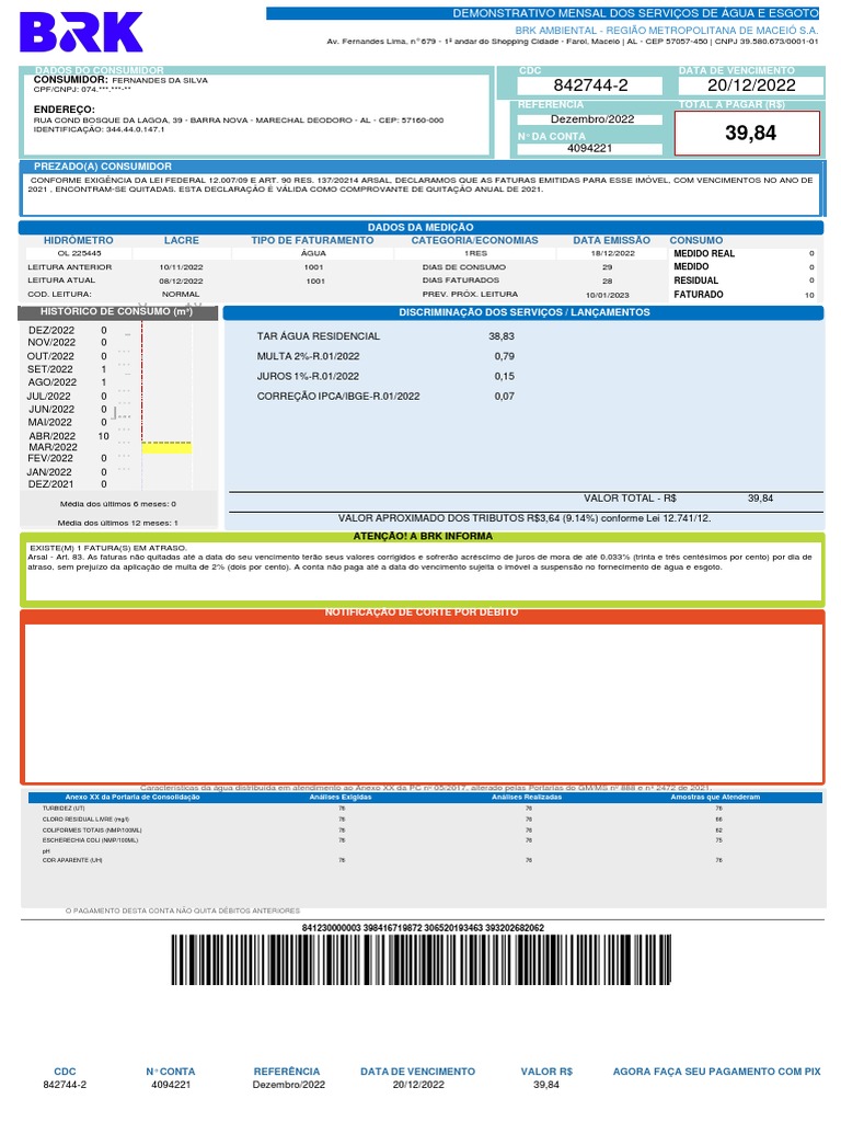 Fatura BRK - DEZ - 2022 | PDF