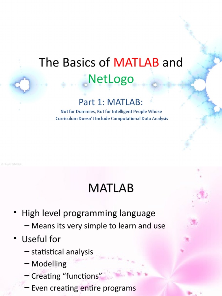 The Basics of MATLAB and NetLogo | PDF