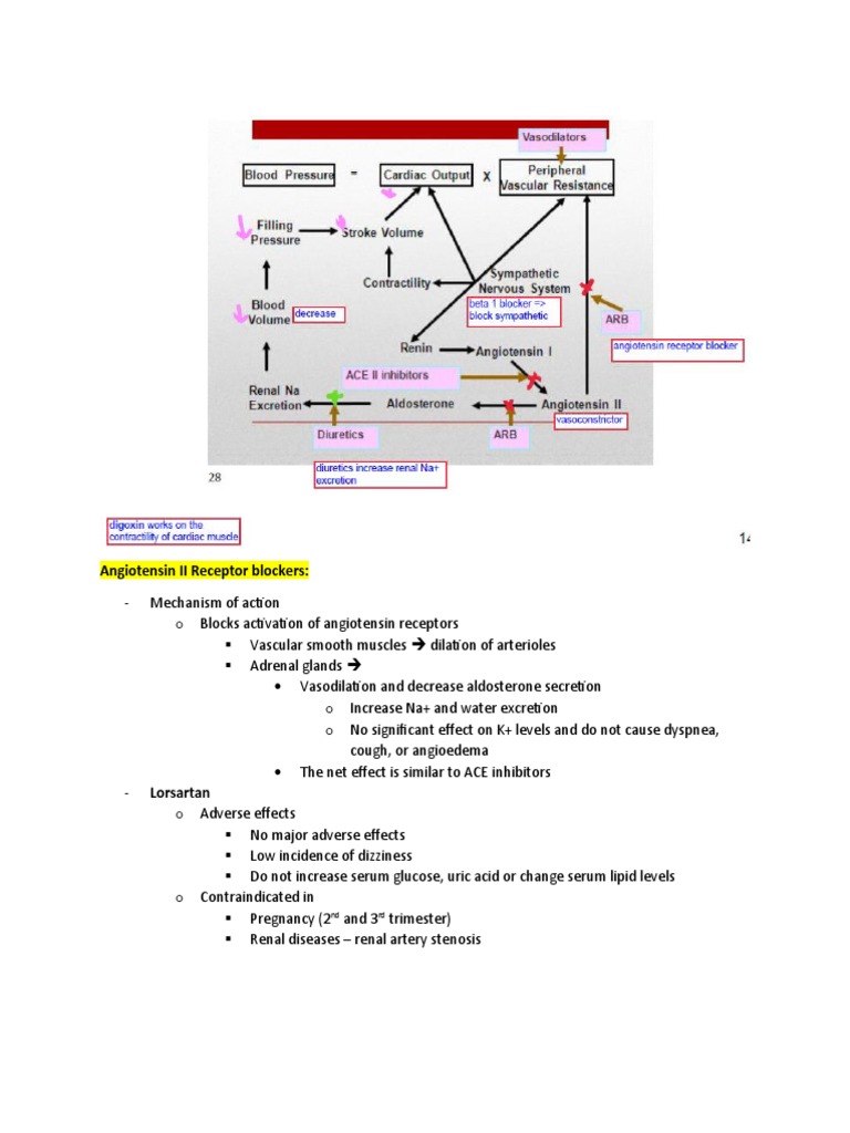 Meds #1 Notes | PDF | Diseases And Disorders | Clinical Medicine