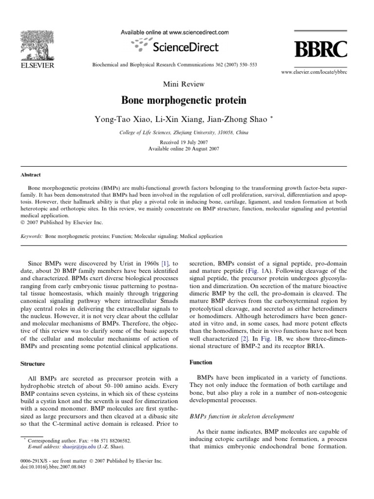 Bone Morphogenetic Protein | PDF | Cellular Differentiation | Cell ...
