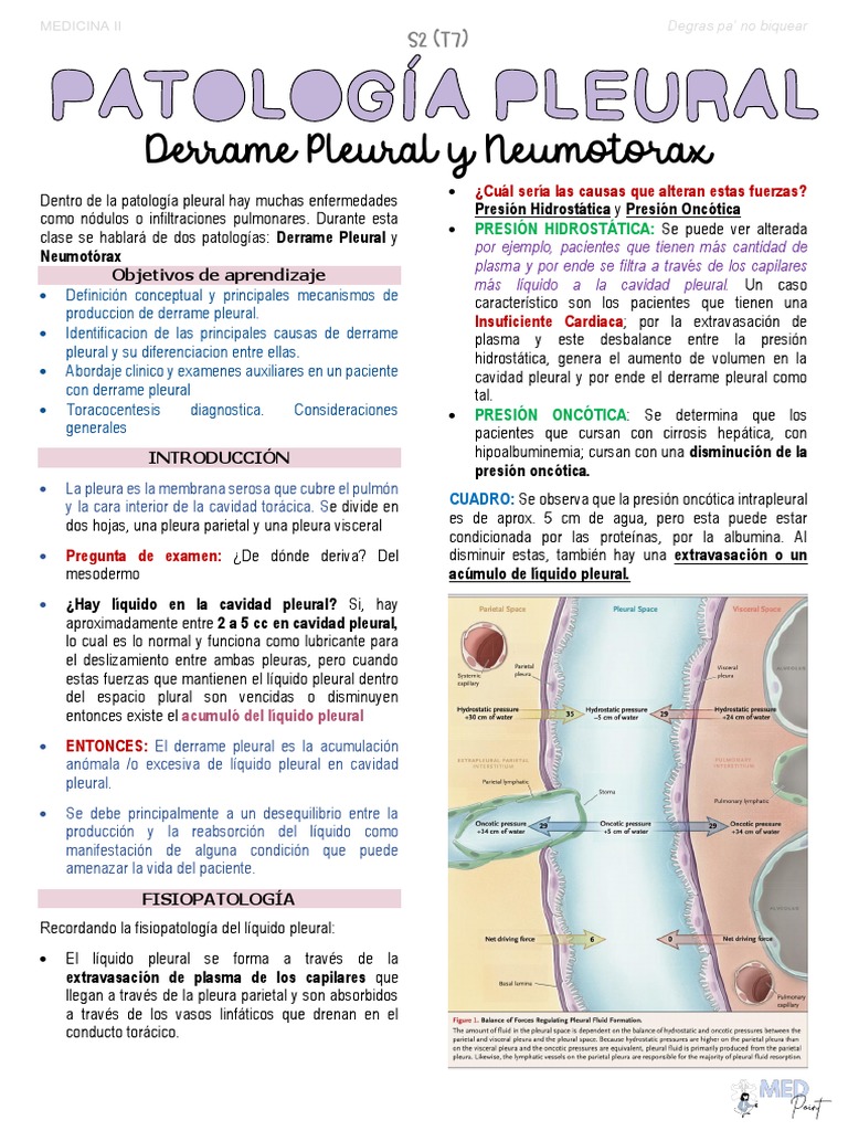 S2 (T7) - Patología Pleural | PDF | Neumología | Causas de la muerte