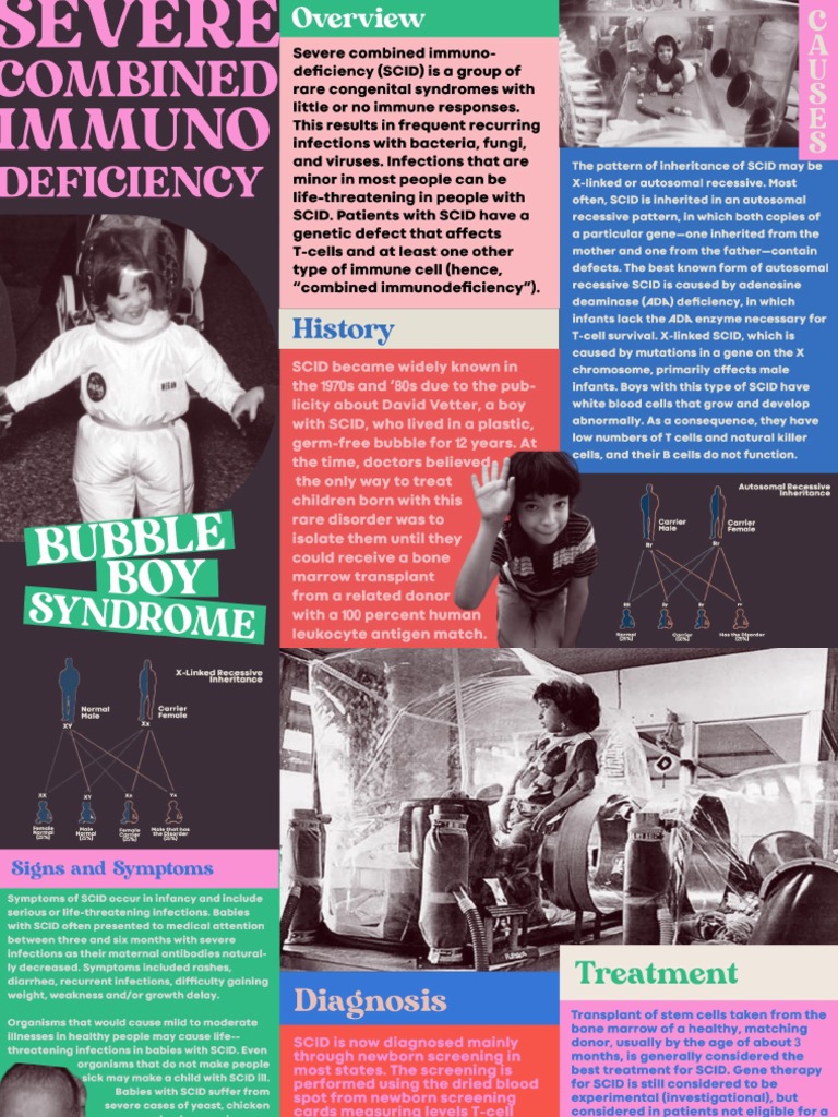Bubble Boy | PDF