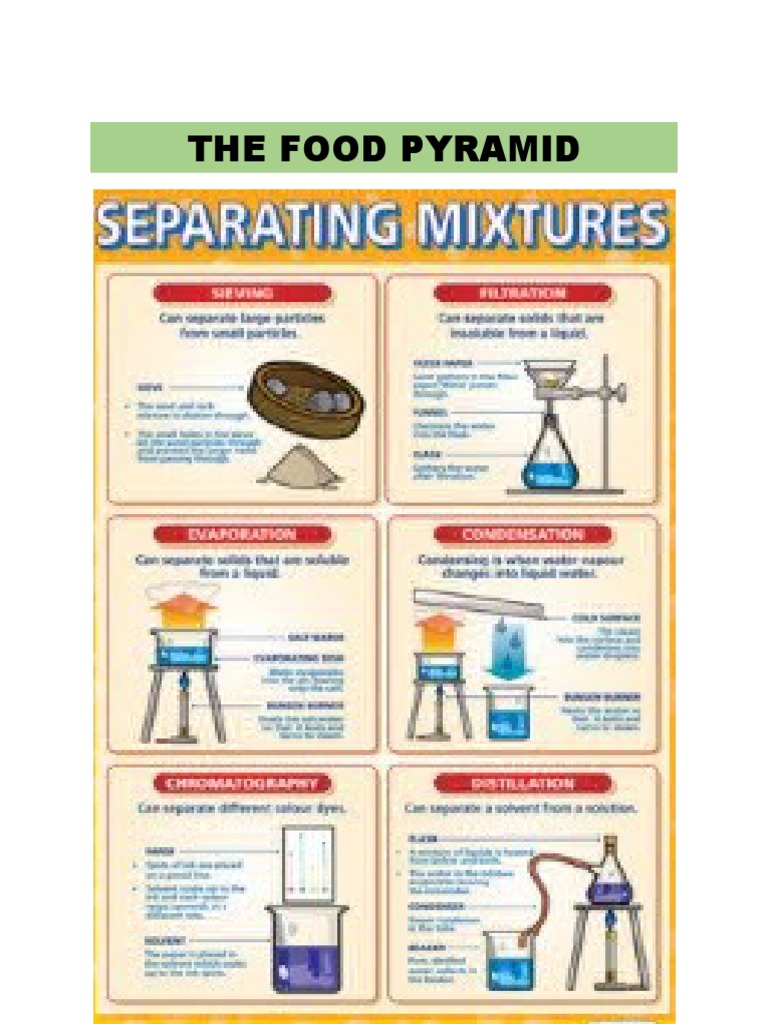 The Food Pyramid | PDF
