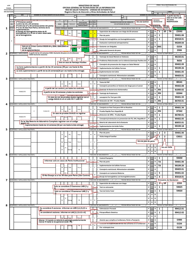 Formato His | PDF | El embarazo | Especialidades Medicas