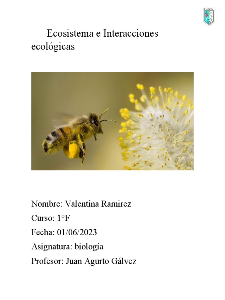 Ecosistema e Interacciones Ecológicas | PDF | Ecosistema | Ecología