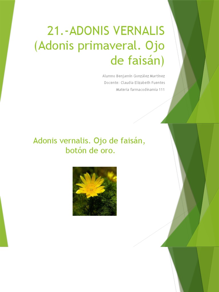 Adonis Vernalis | PDF
